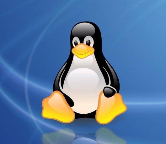 How to Create a 'Computer' Section on KDE Plasma with Nemo File Manager - IT & Internet ...